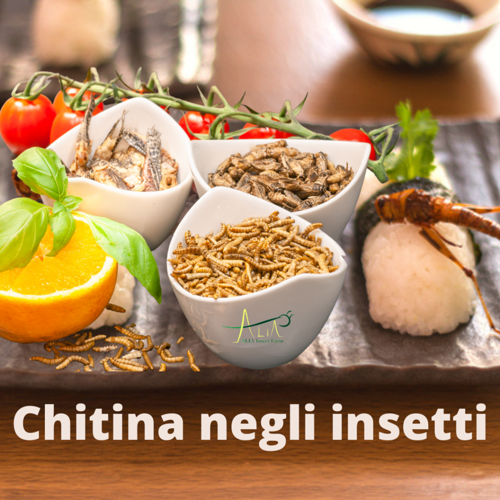 Chitina negli insetti commestibili » Alia Insect Farm