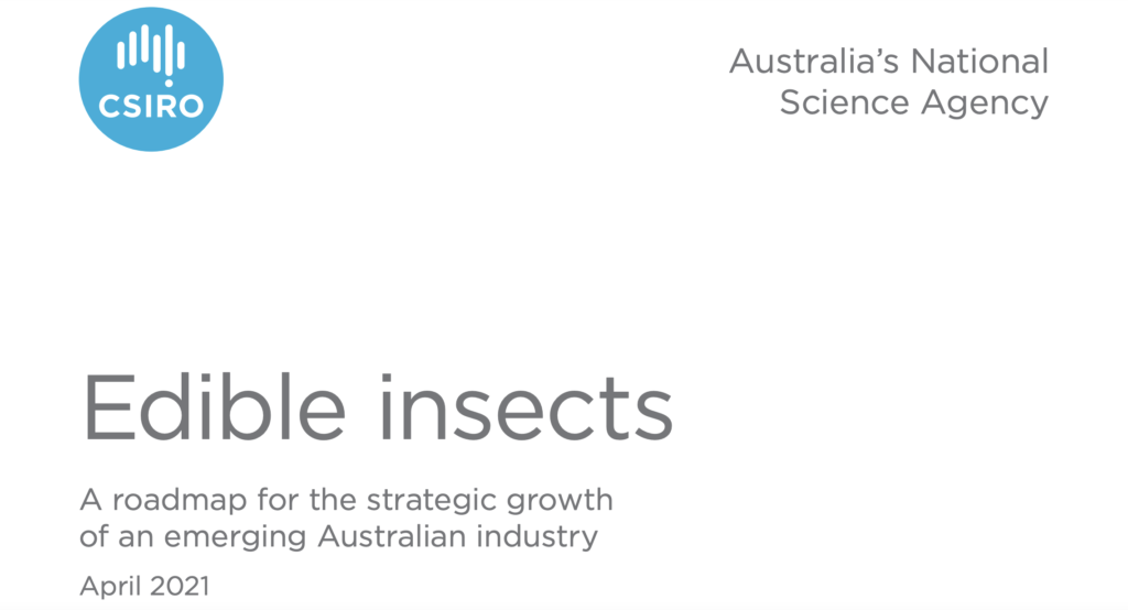 Gli insetti edibili in Australia » Alia Insect Farm