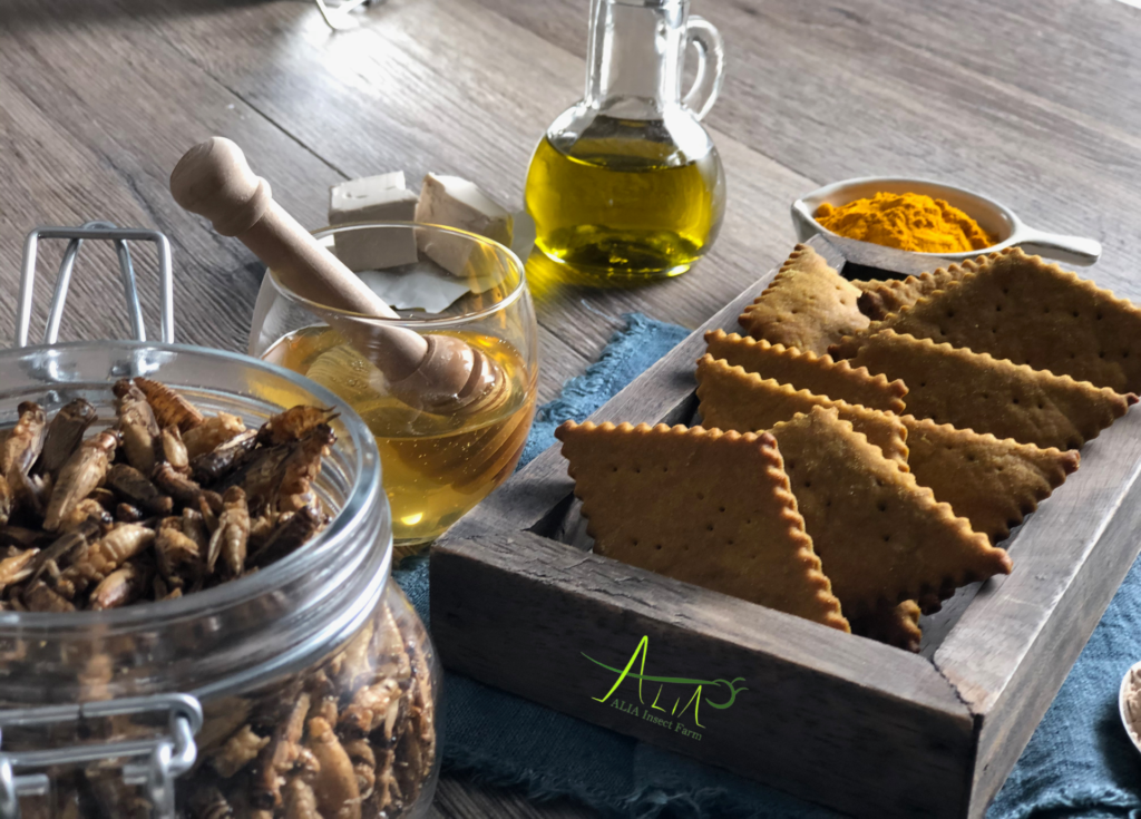 Crakers con polvere di grillo e curcuma » Alia Insect Farm